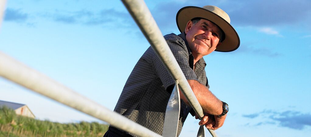 Official Gallagher Animal Management Site | New Zealand