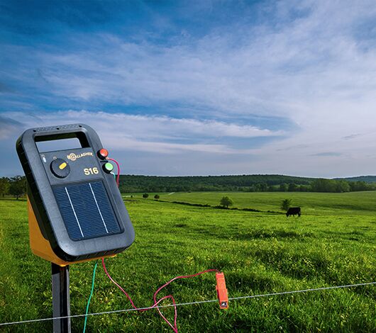 Les principes posent les bases d'un sol sain