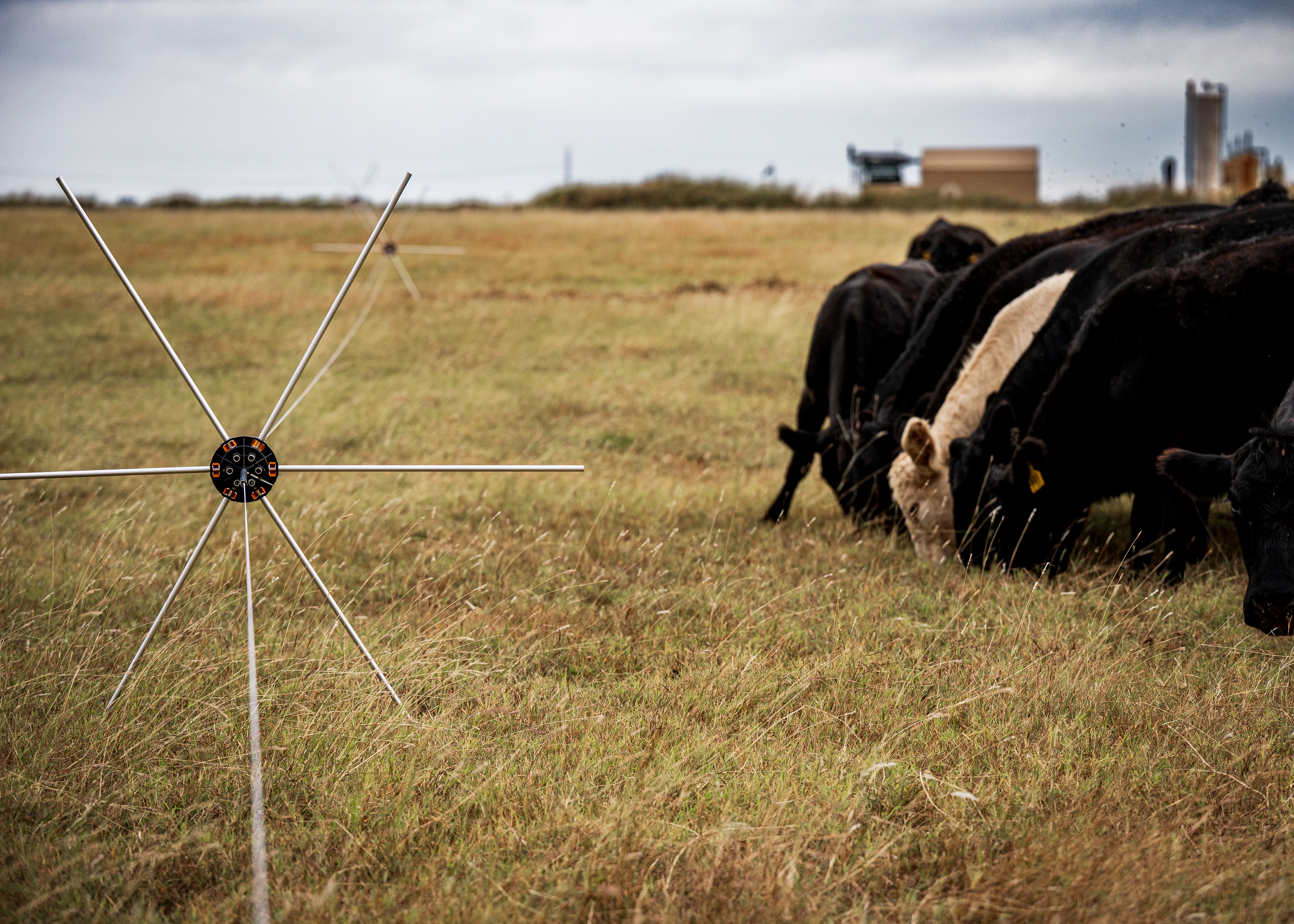 Innovation on the Open Range