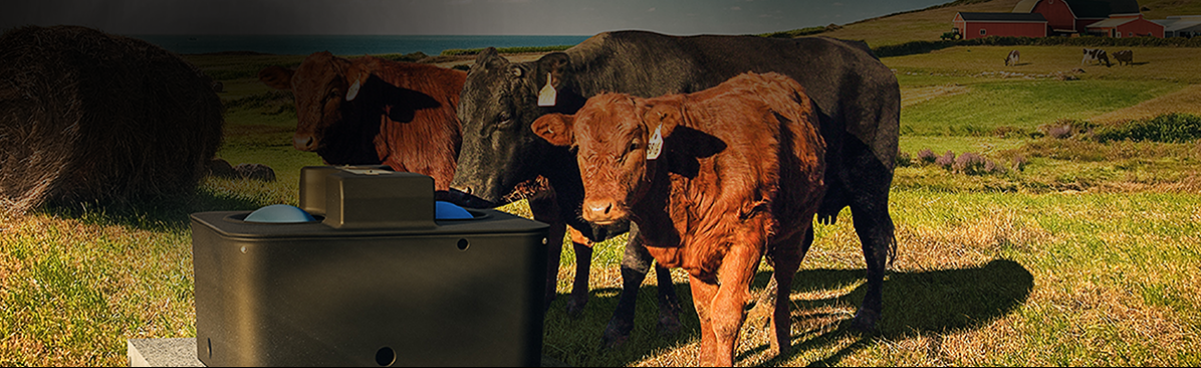 Official Gallagher Animal Management Site | United States