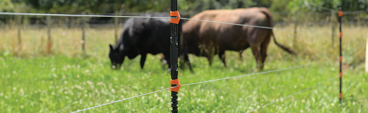 Official Gallagher Animal Management Site | Australia